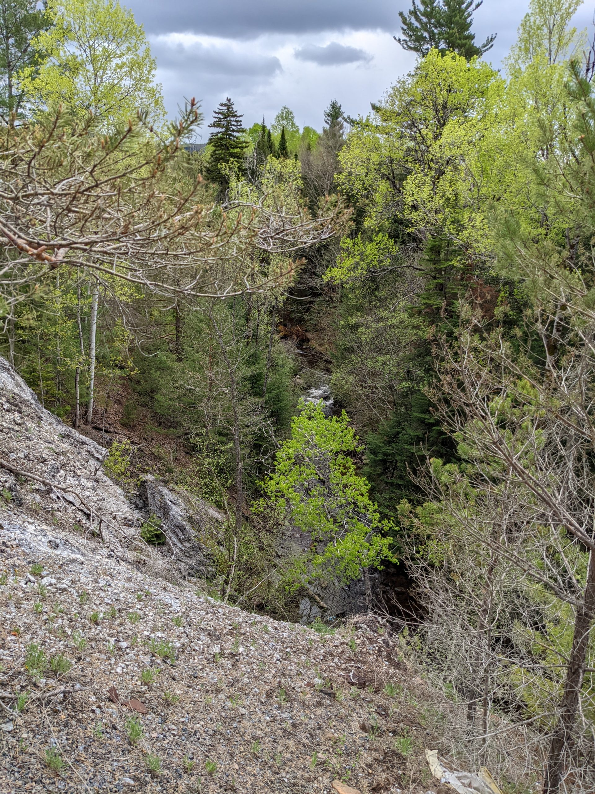 Beautiful Scenery in Standish, New York – Matthew Furman On-Line